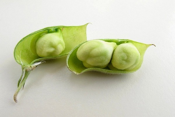 Консумацията на нахут подобрява метаболизма • lekuva.net